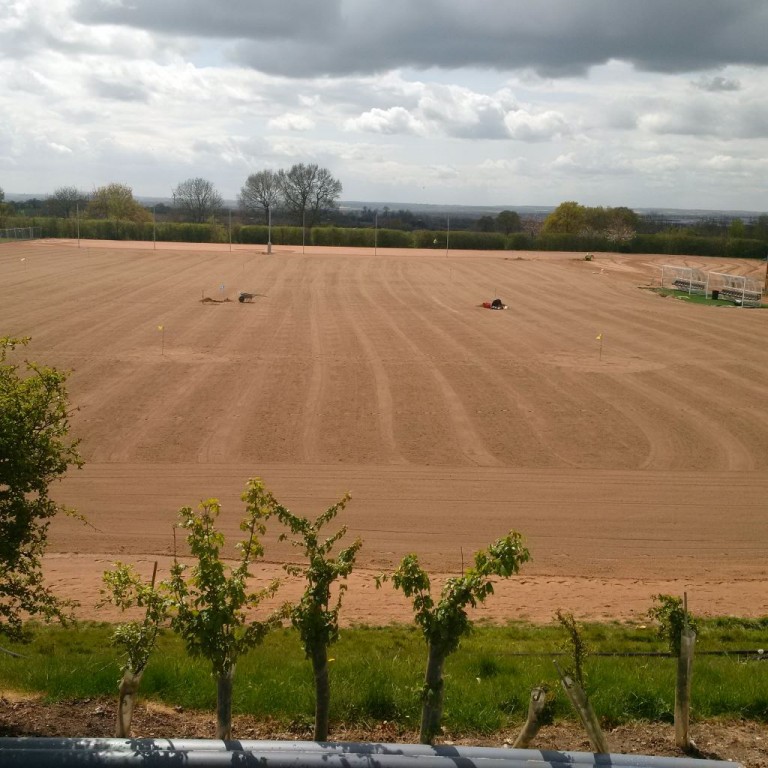 Natural Turf - Sports & Spaces